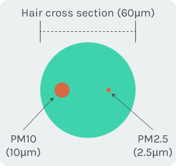 Main particle sizes PM10 and PM2.5 – See The Air