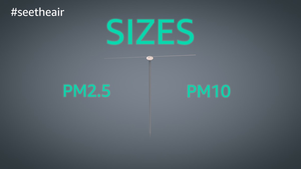 PM2.5 & PM10 Sizes – See The Air