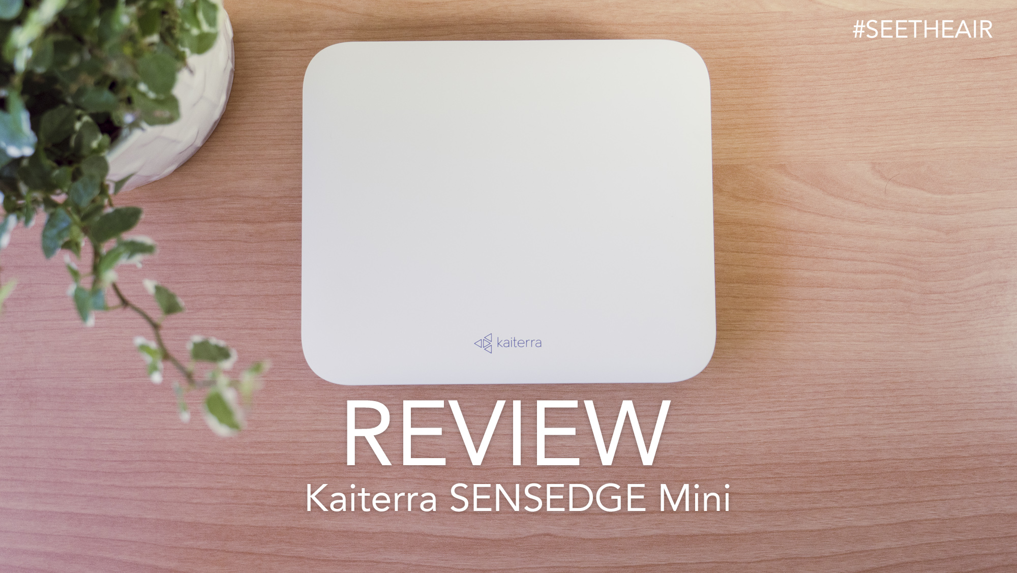 Review: Kaiterra Sensedge Mini for Business and Green Buildings – See ...
