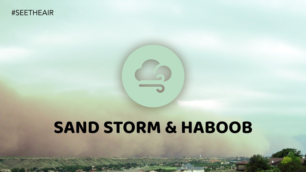 Dust Devils of Doom: Sand Storm & Haboob and Their Invisible Assault on ...